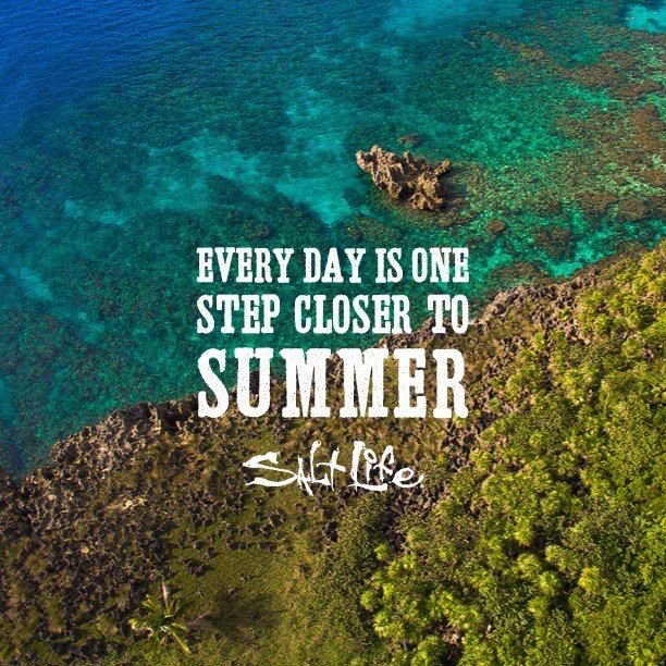 Everyday Is One Step Closer To Summer Pictures, Photos, and Images for ...