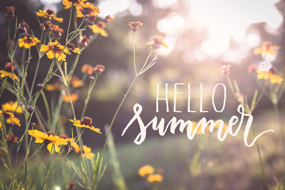 Hello Summer Floral Pictures, Photos, and Images for Facebook, Tumblr ...