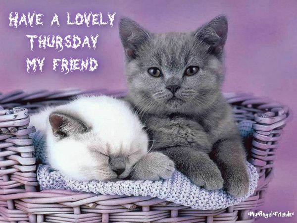 Have A Lovely Thursday My Friend Pictures, Photos, and Images for ...