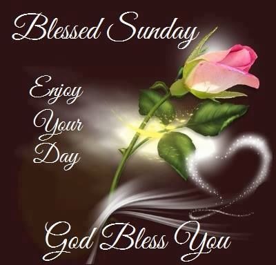 Single Rose Blessed Sunday Graphic Pictures, Photos, and Images for ...