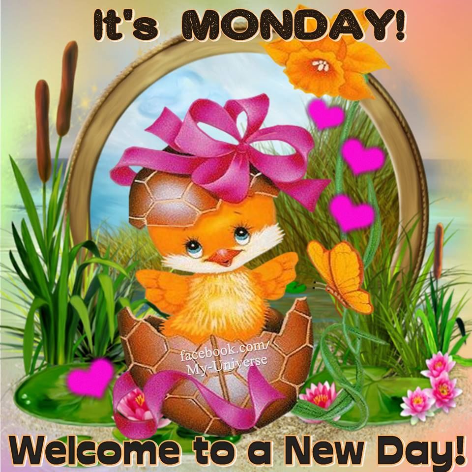 It's Monday! Welcome To A New Day! Pictures, Photos, and Images for ...