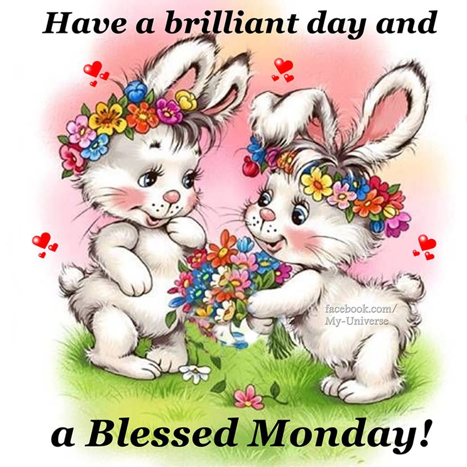 Have A Brilliant Day And A Blessed Monday! Pictures, Photos, and Images ...