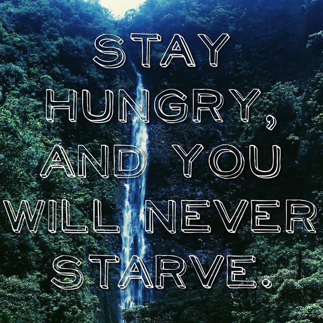 Stay Hungry And You Will Never Starve Pictures, Photos, and Images for ...