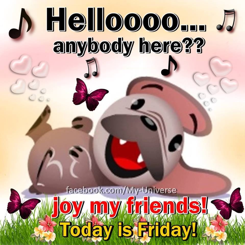 Helloooo...anybody Here?? Joy My Friends! Today Is Friday! Pictures ...
