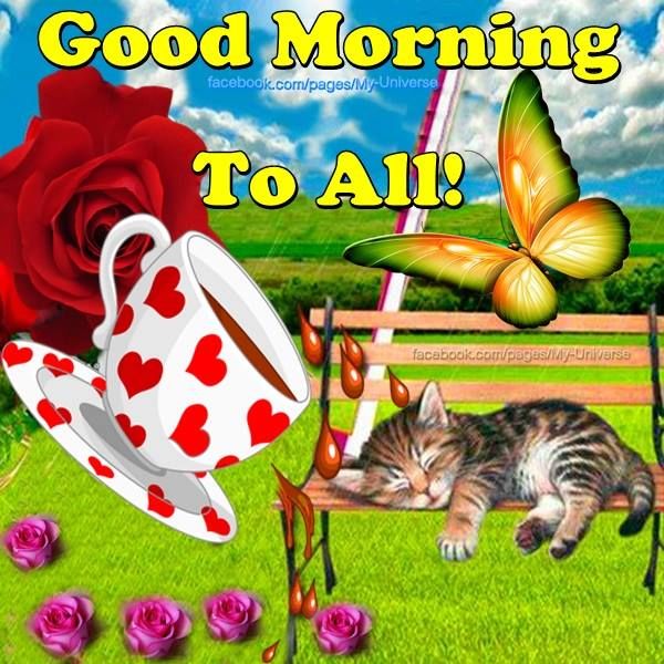Good Morning To All Pictures, Photos, and Images for Facebook, Tumblr ...