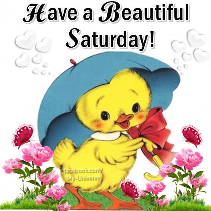 Yellow Duck Beautiful Saturday Pictures, Photos, and Images for ...