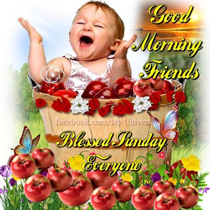 Blessed Sunday Everyone, Good Morning Friends Pictures, Photos, and ...