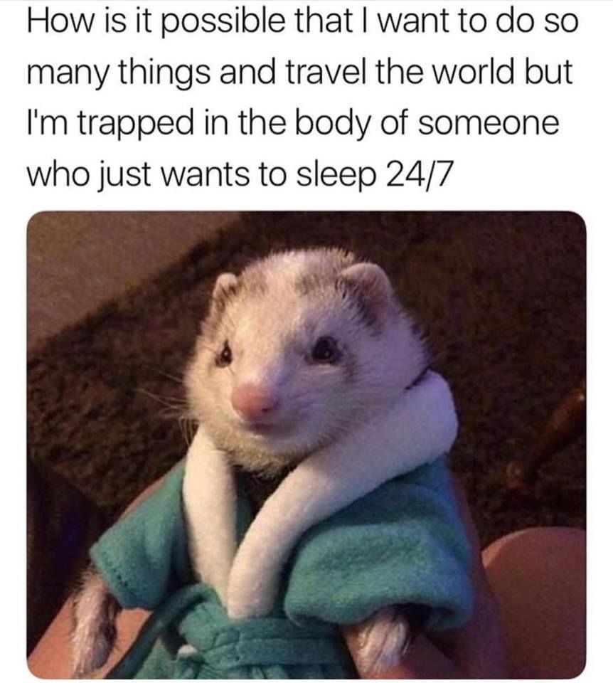 How Is It Possible? Pictures, Photos, and Images for Facebook, Tumblr ...