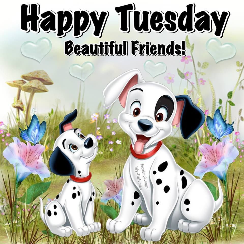 Dalmatian Happy Tuesday Quote Pictures, Photos, and Images for Facebook ...