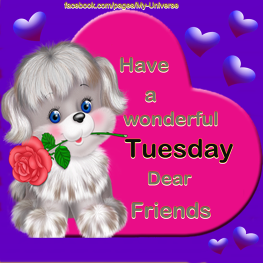 Adorable Wonderful Tuesday Quotes Pictures, Photos, and Images for ...