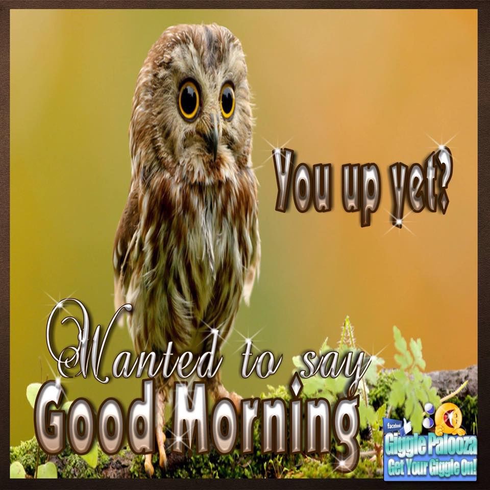 You Up Yet? Wanted To Say Good Morning Pictures, Photos, and Images for ...