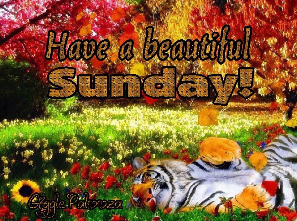 Beautiful Sunday Pictures, Photos, and Images for Facebook, Tumblr ...