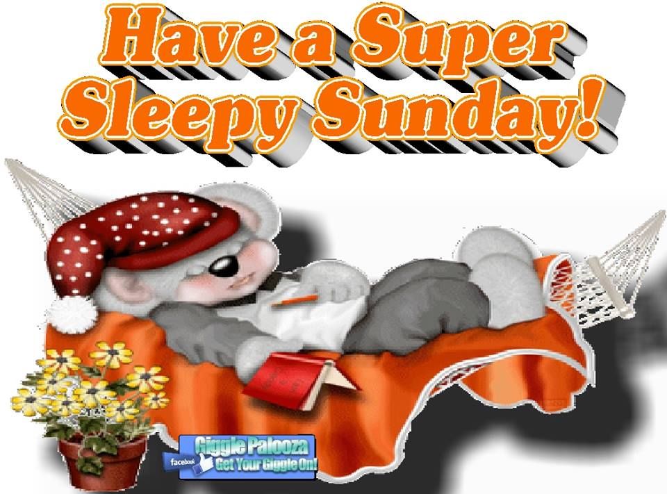 Super Sleepy Sunday Pictures, Photos, and Images for Facebook, Tumblr ...