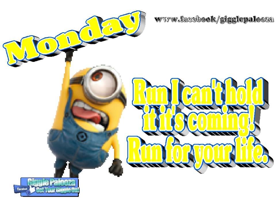 Monday, Run, I Cant Hold It, Its Coming! Run For Your Life! Pictures ...