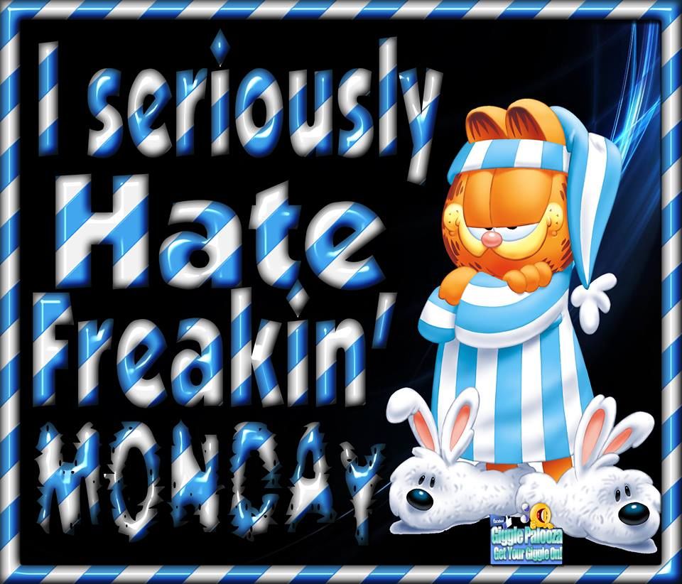 I Seriously Hate Freaking Monday Pictures, Photos, and Images for ...