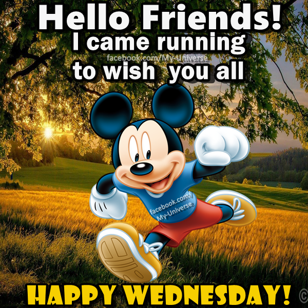 I Came Running To Wish You All Happy Wednesday Pictures, Photos, and ...