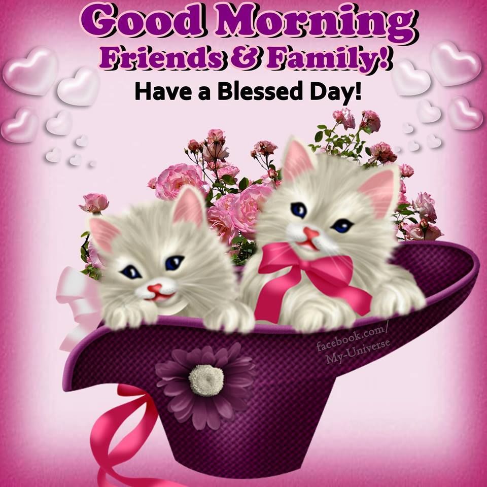 Kitty Good Morning Have A Blessed Day Pictures, Photos, and Images for ...