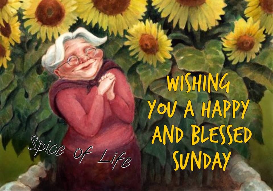 Happy And Blessed Sunday Pictures, Photos, and Images for Facebook ...