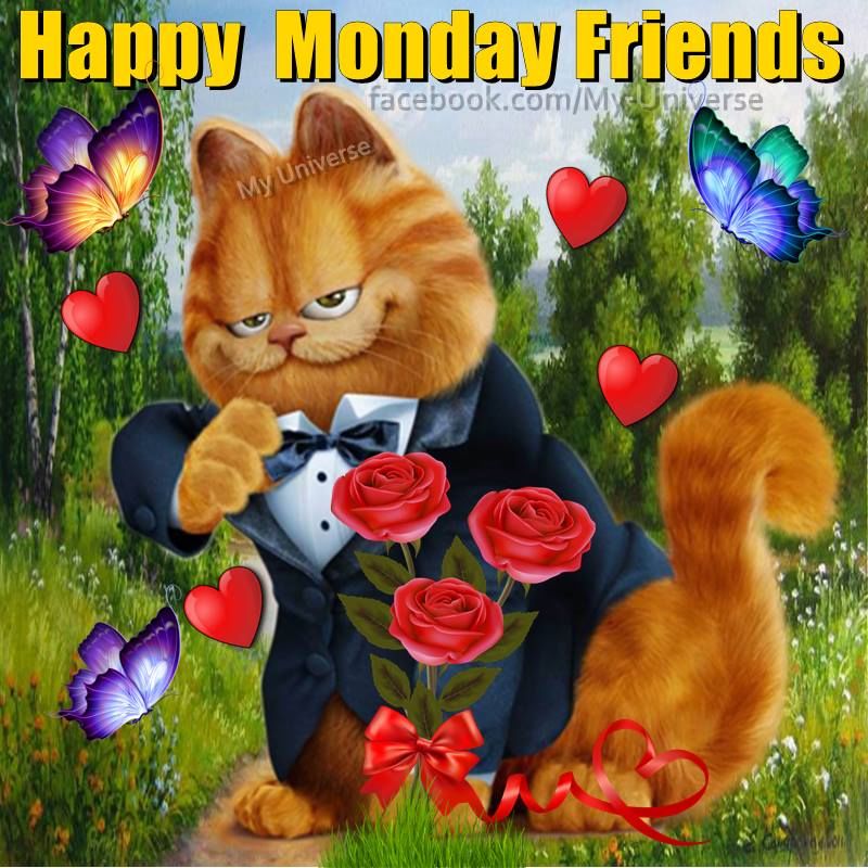 Garfield Happy Monday Friends Pictures, Photos, and Images for Facebook ...
