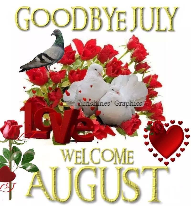 Dove Goodbye July, Welcome August Pictures, Photos, and Images for ...