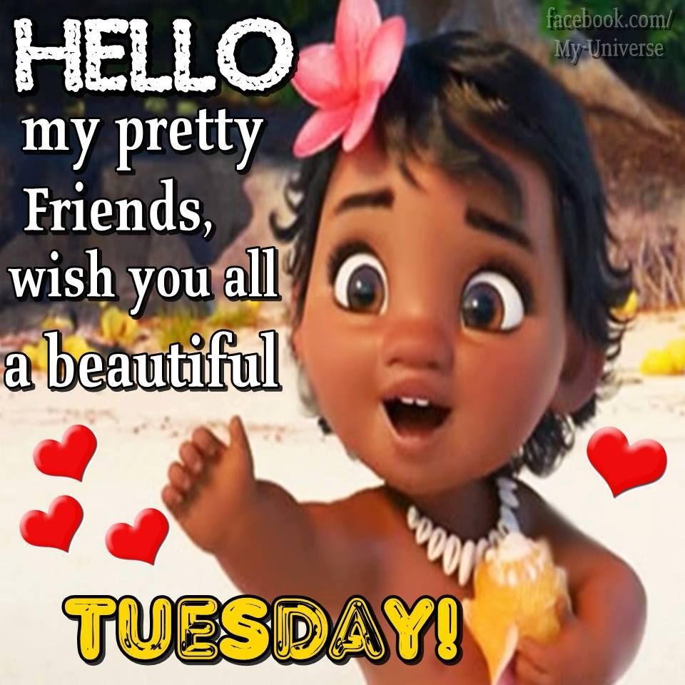Hello My Pretty Friends, Wish You All A Beautiful Tuesday Pictures ...