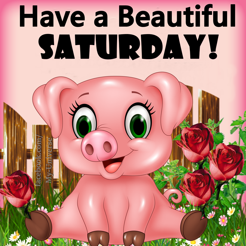 Piggy Beautiful Saturday Graphic Pictures, Photos, and Images for ...