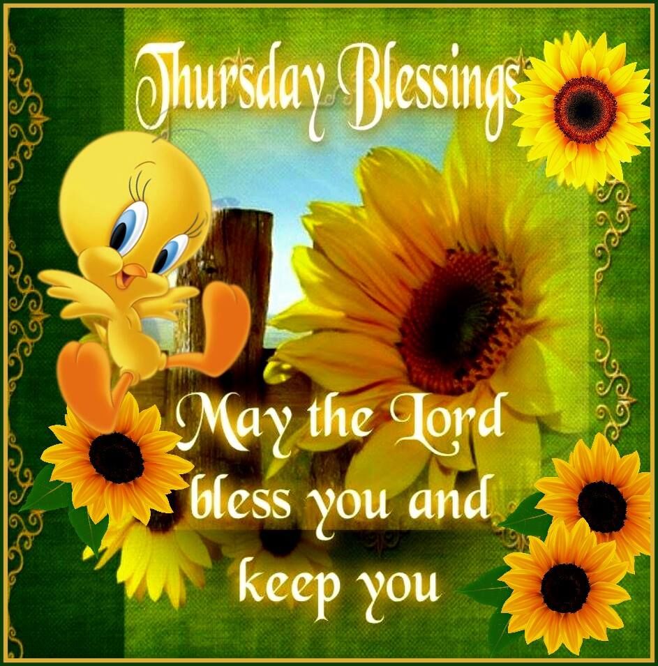 Tweety Thursday Blessings Pictures, Photos, and Images for Facebook ...