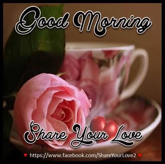 Good Morning, Share Your Love Pictures, Photos, and Images for Facebook ...