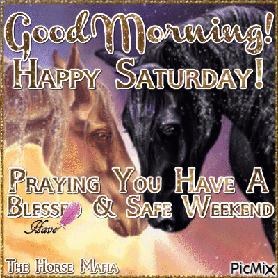 Horse Good Morning Happy Saturday Gif Pictures, Photos, and Images for ...