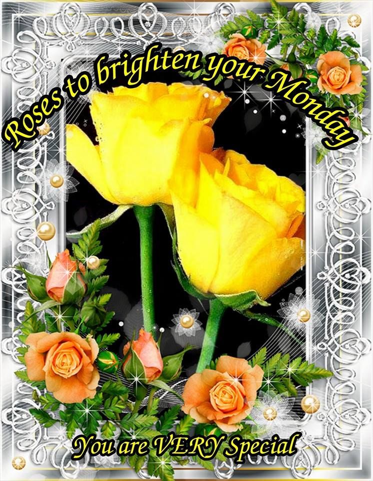 Roses To Brighten Your Monday Pictures, Photos, and Images for Facebook ...