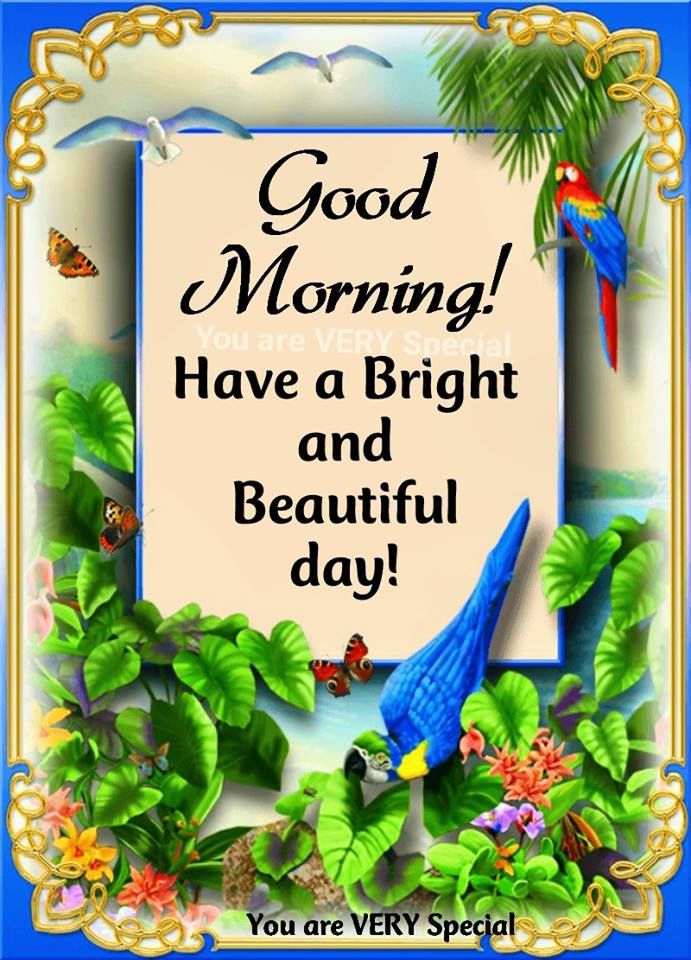 Bright And Beautiful Day Pictures, Photos, and Images for Facebook ...