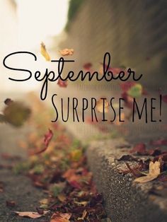 Hello October Surprise Me