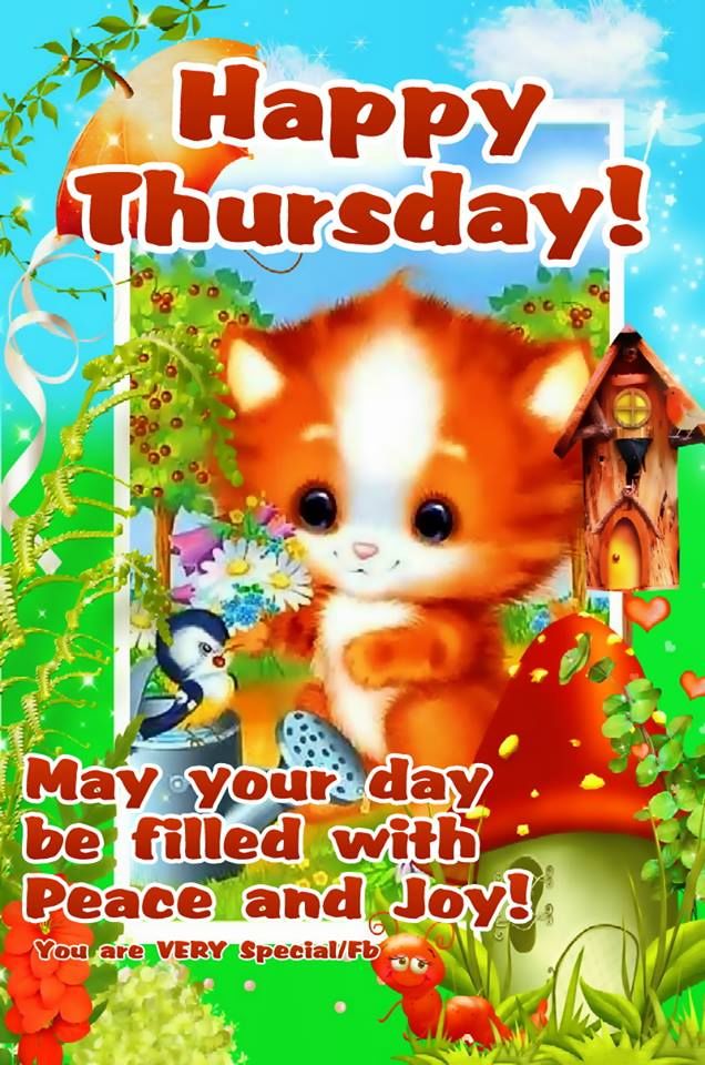 Adorable Kitty Happy Thursday Image Pictures, Photos, and Images for ...