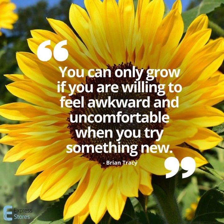 You Can Only Grow If You're Willing To Feel Awkward And Uncomfortable ...