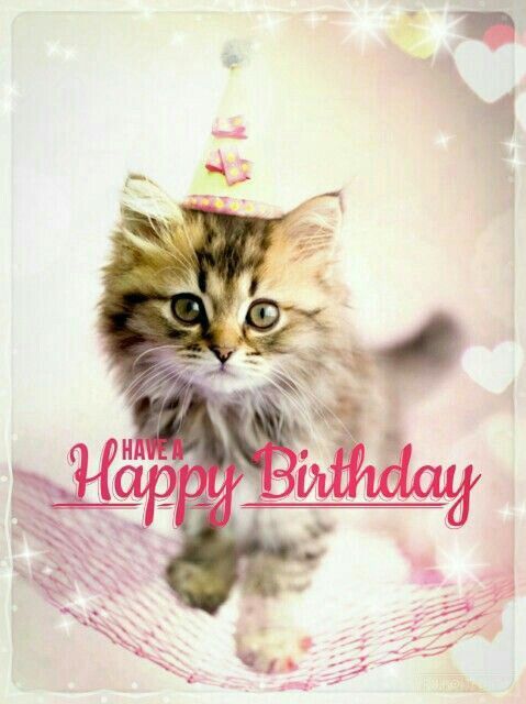 Kitten Birthday Wish Pictures, Photos, and Images for Facebook, Tumblr ...