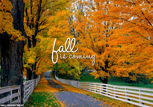Fall Is Coming, Halloween Is Coming Pictures, Photos, and Images for ...
