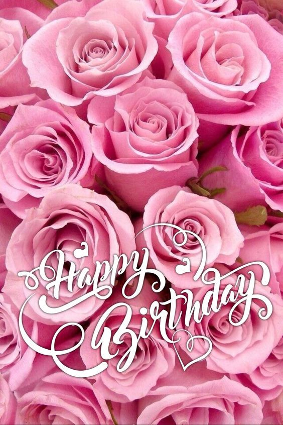 Pink Rose Happy Birthday Pictures Photos And Images For Facebook