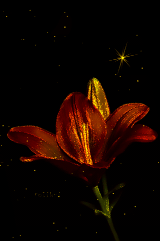 Animated Flower Pictures, Photos, and Images for Facebook, Tumblr ...