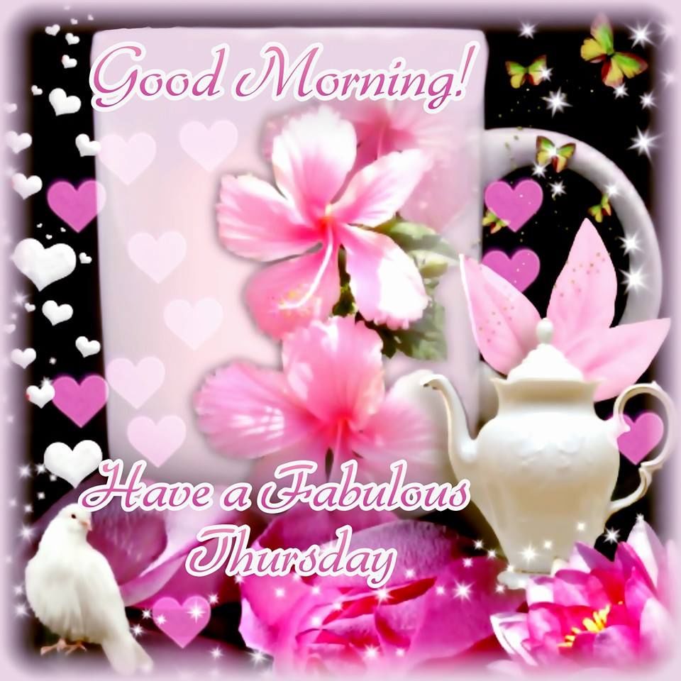 Have A Fabulous Thursday, Good Morning Pictures, Photos, and Images for ...