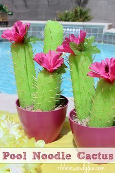 Pool Noodle Cactus Pictures Photos And Images For Facebook Tumblr