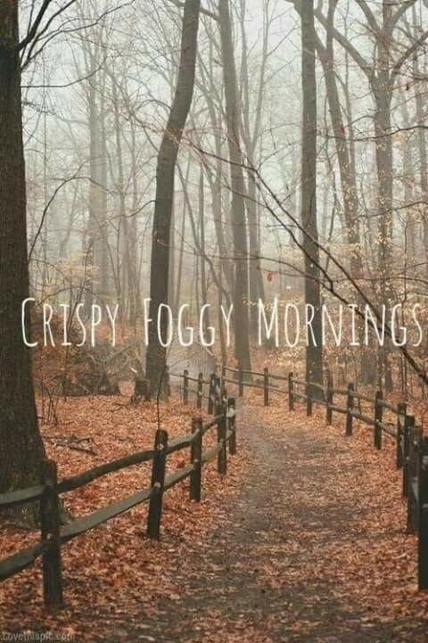 Crispy Foggy Mornings Pictures, Photos, and Images for Facebook, Tumblr ...