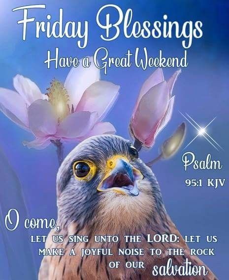 Bird Friday Blessings, Have A Great Weekend Pictures, Photos, and ...