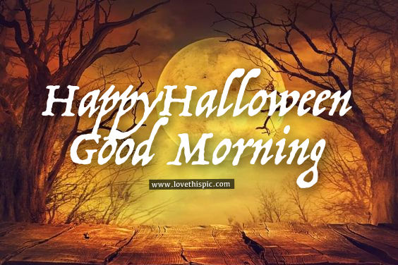 Orange Moon, Happy Halloween Good Morning Pictures, Photos, and Images ...