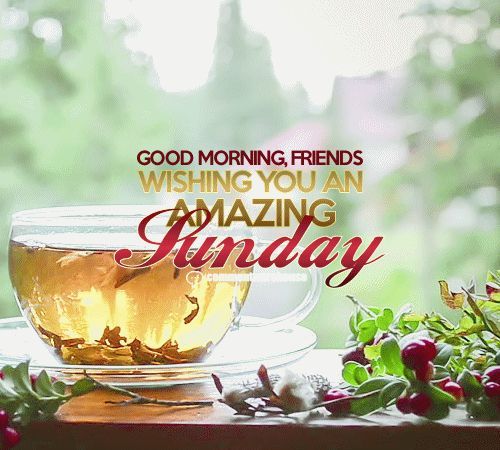 Wishing You An Amazing Sunday Pictures, Photos, and Images for Facebook ...