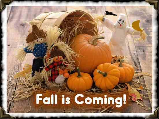 Fall Is Coming Pictures, Photos, and Images for Facebook, Tumblr ...