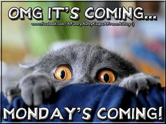 Omg It's Coming...Monday's Coming! Pictures, Photos, and Images for ...