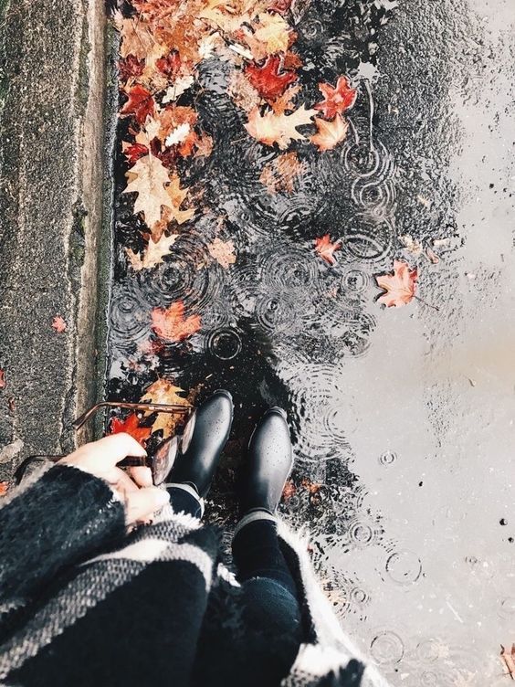 Wet Fall Leaves Pictures, Photos, and Images for Facebook, Tumblr ...
