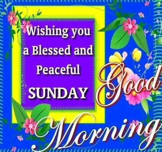 Blessed Peaceful Sunday, Good Morning Pictures, Photos, and Images for ...