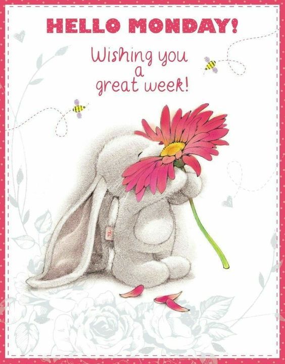 Wishing You A Great Week! Hello Monday Pictures, Photos, and Images for ...