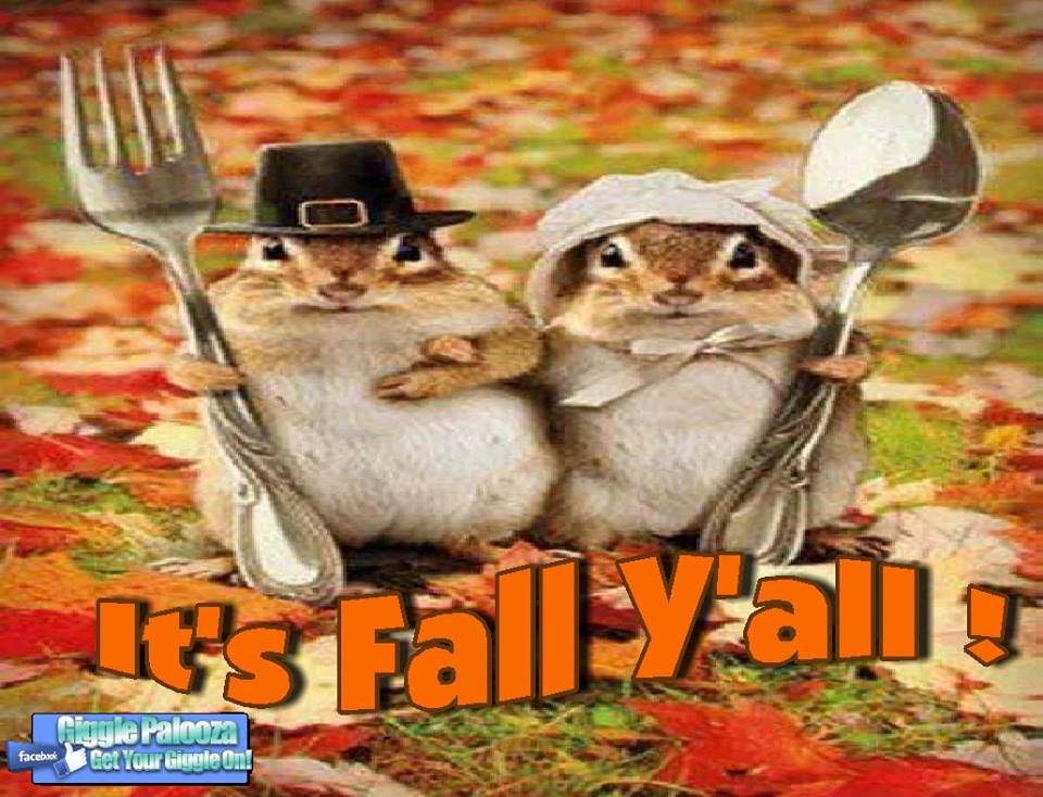 It's Fall Y'all! Pictures, Photos, and Images for Facebook, Tumblr ...